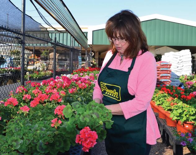 Couple grows Greenlife Nursery with attention to clients