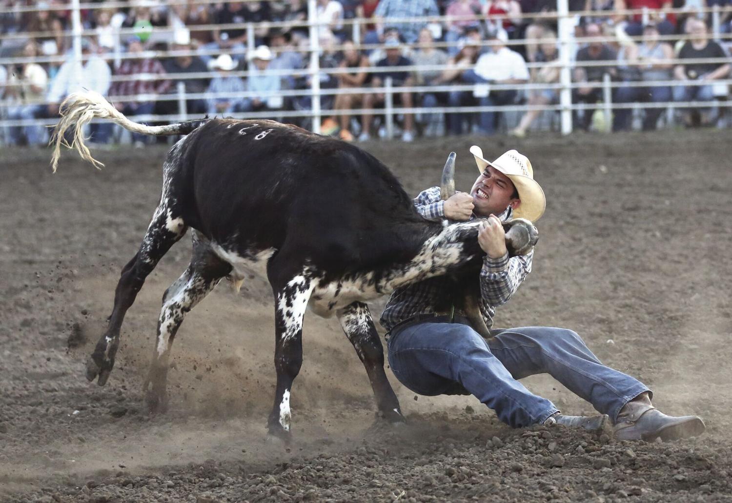 Saddle Club gears up for 69th Annual PRCA Rodeo Event