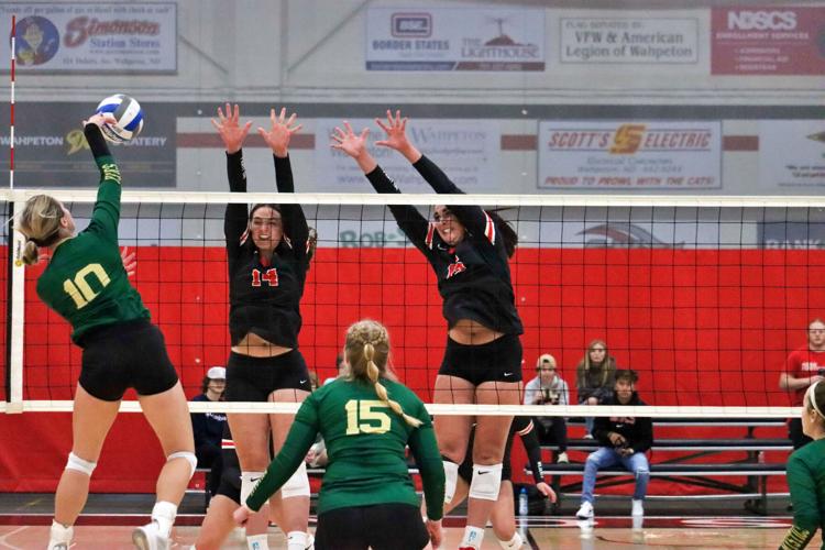 Mystics top Wildcats in 5-set thriller to claim Region XIII ...