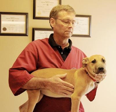 Matz named 'Veterinarian of the Year' | Local News Stories ...