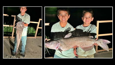 Ovsak brothers net 20-pound catfish in Breckenridge | Local Sports News ...