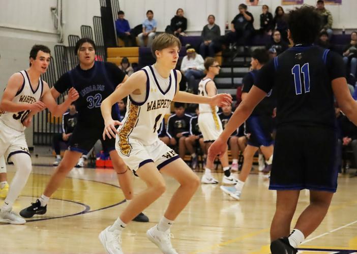 Huskies make a statement at home | Local News Stories ...