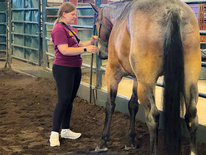 Harleigh Higdem attends NDGS | Local News Stories | wahpetondailynews.com