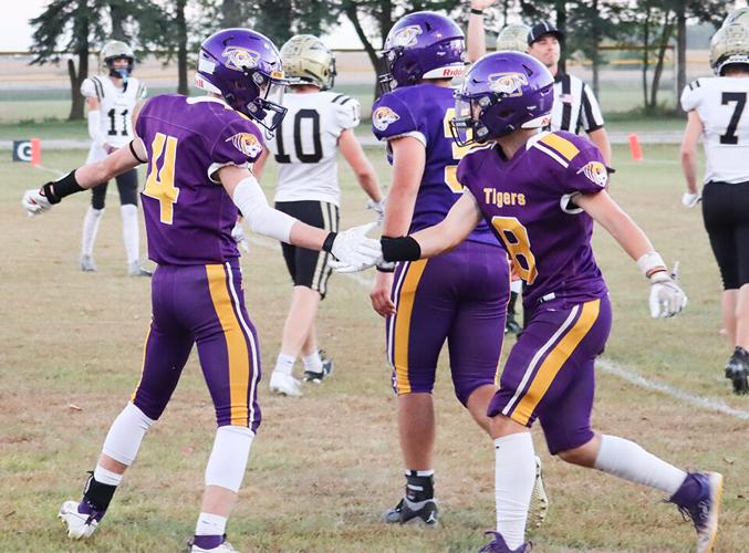 Tigers' seniors look to boost program for future in final two games ...