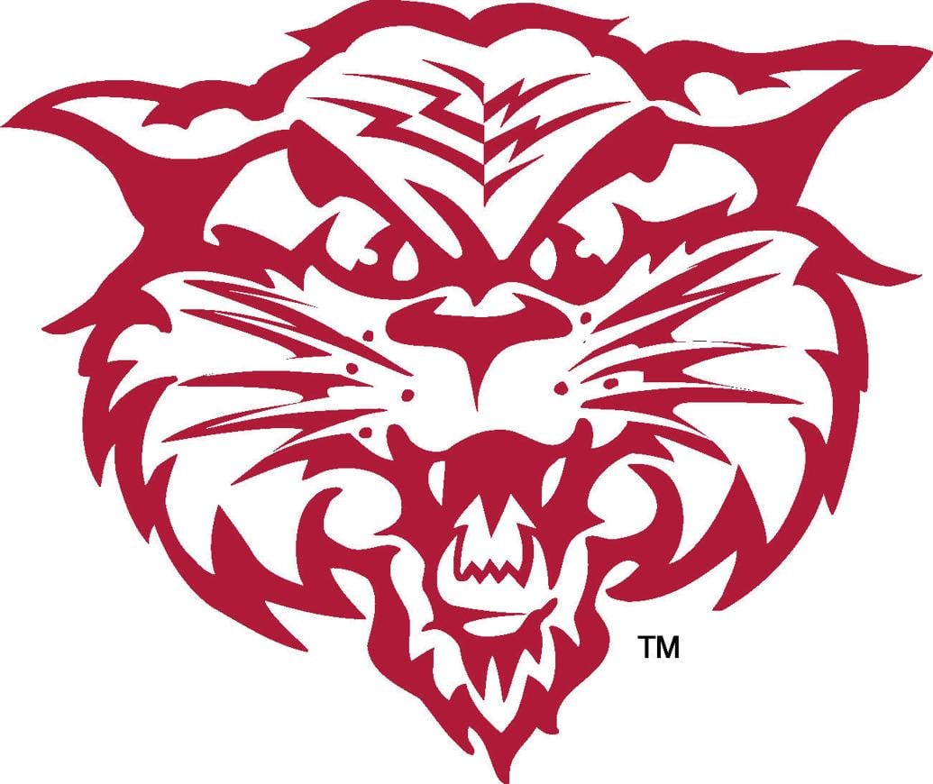 Wildcats hire NDSCS alum Eric Issendorf as head football coach | Local ...