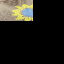 Rasanen-Fryar promoted to assistant managing editor | Local News ...