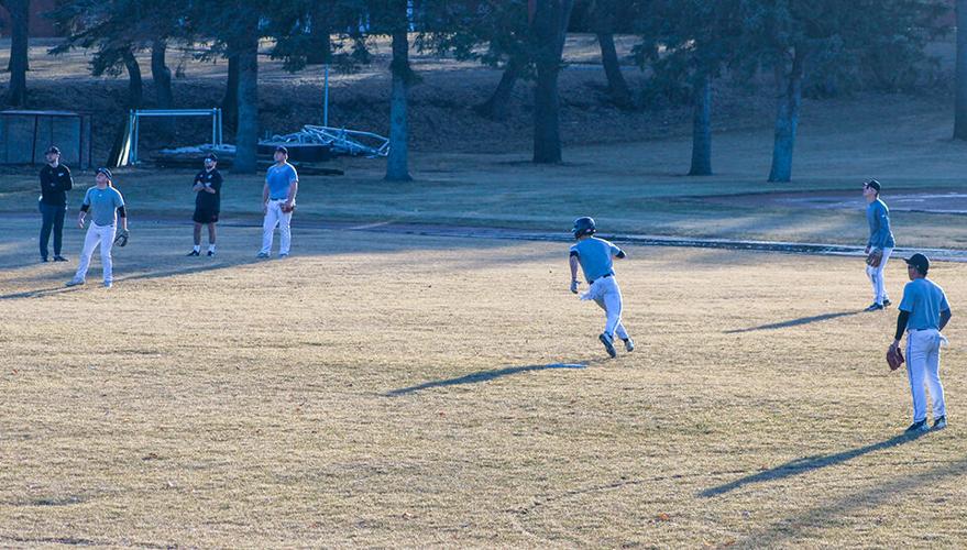 January sun brings early baseball | Local News Stories ...