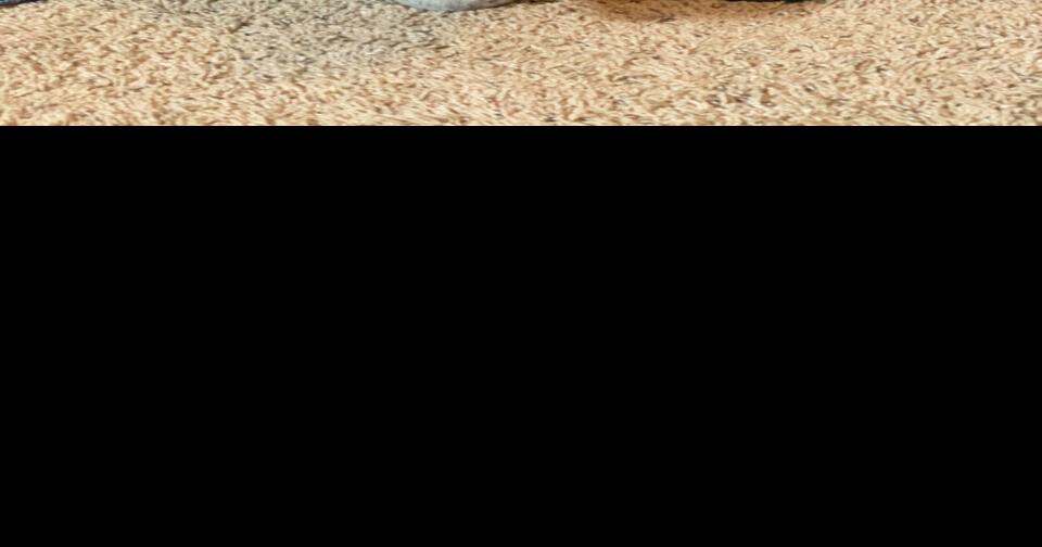 News Monitor Skybox | News Monitor | wahpetondailynews.com