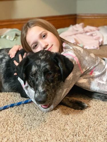 News Monitor Skybox | News Monitor | wahpetondailynews.com