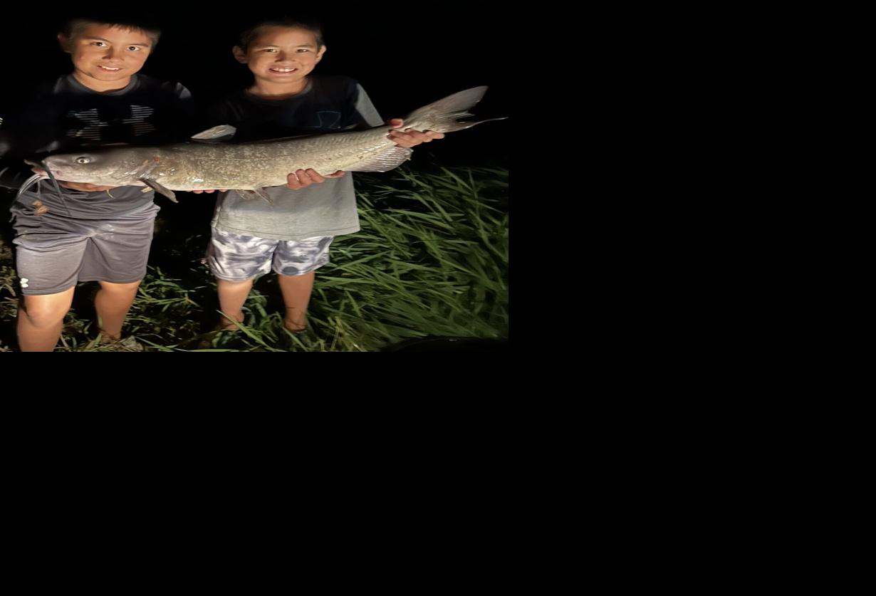 channel fun catfish