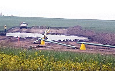 Crop study set to rehabilitate land smirched by pipelines | Local News ...