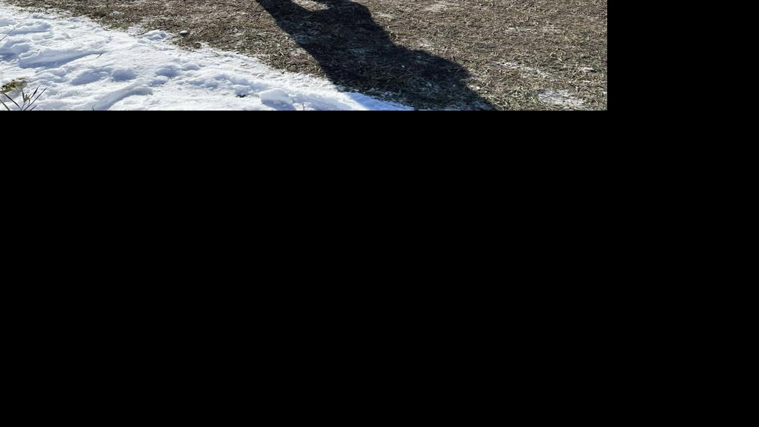 Olivia Frolek leads SCLO runners at snowy state meet | Sports ...