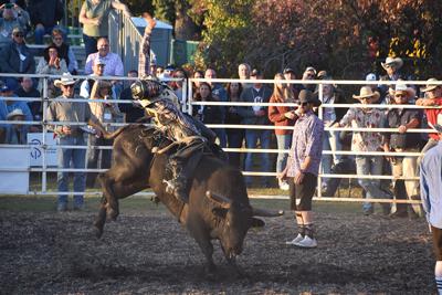 Bull Bash a blockbuster in Wahpeton | Local News Stories | wahpetondailynews.com