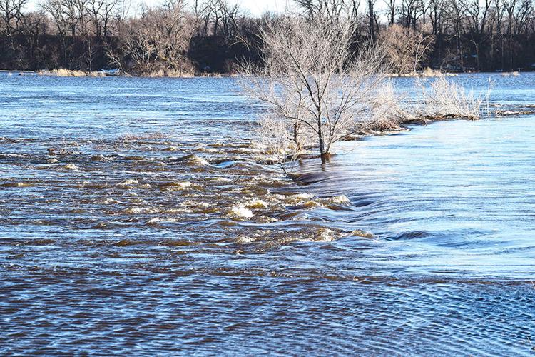 ND spring flooding declared major disaster | Local News Stories ...