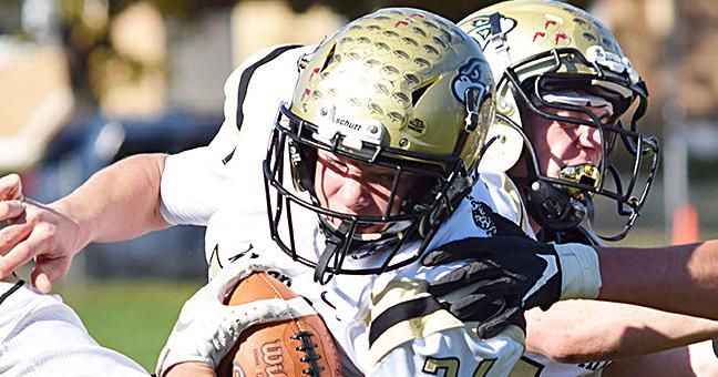 Hankinson and Wyndmere-Lidgerwood end their season with a Saturday ...