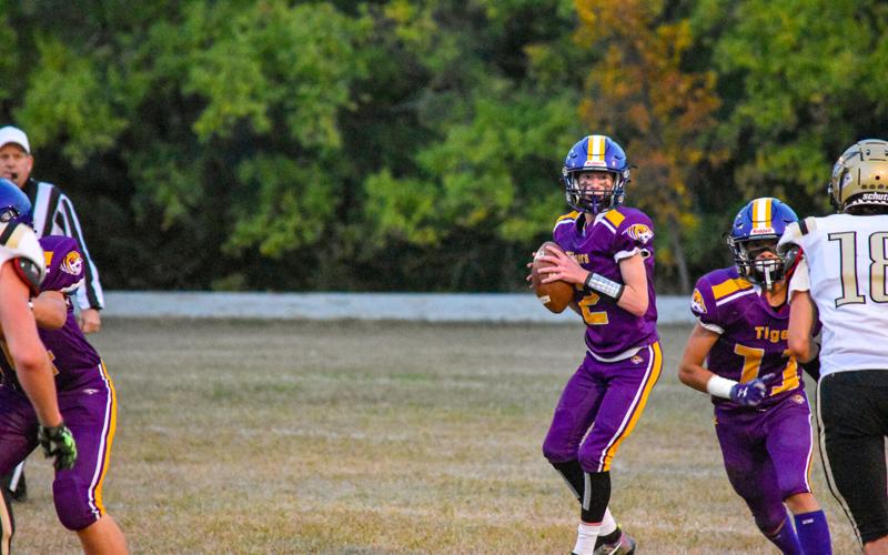 Warbirds tackle the Tigers | Sports | wahpetondailynews.com