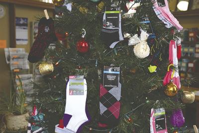 Second time around a success for Sock Tree | Local News Stories ...