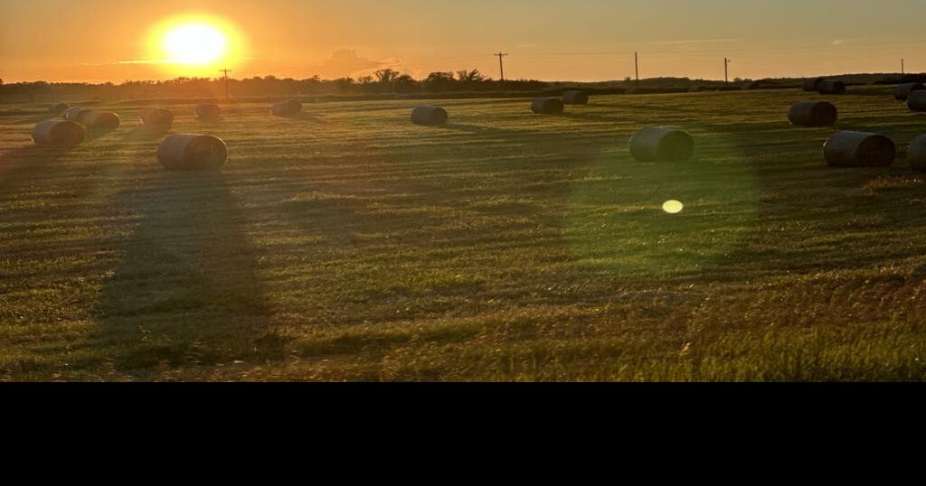 Daily News skybox art | | wahpetondailynews.com
