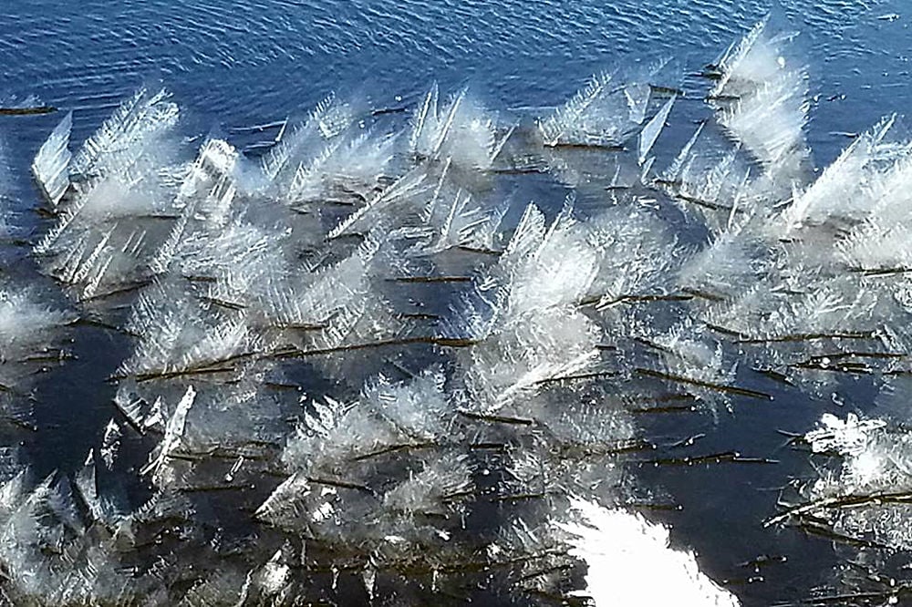 Unique ice formations and cool dogs | News Monitor | wahpetondailynews.com