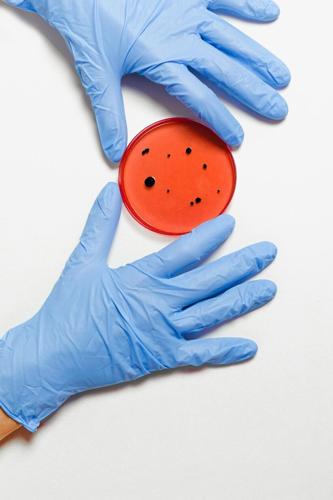 How human antibodies could help defeat drug-resistant superbugs ...