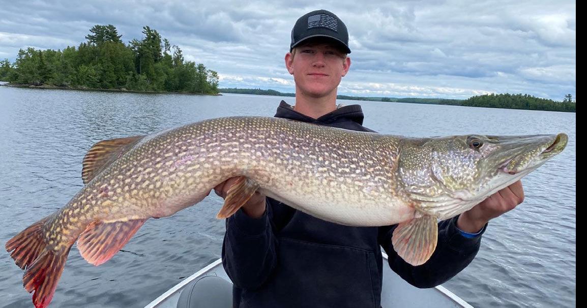 DNR certifies new catch-and-release state record northern pike, tie for ...