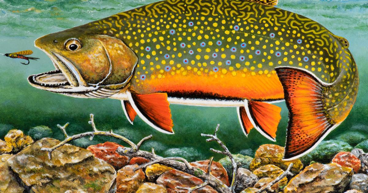 Winners chosen for 2024 trout and salmon stamp, walleye stamp contests ...
