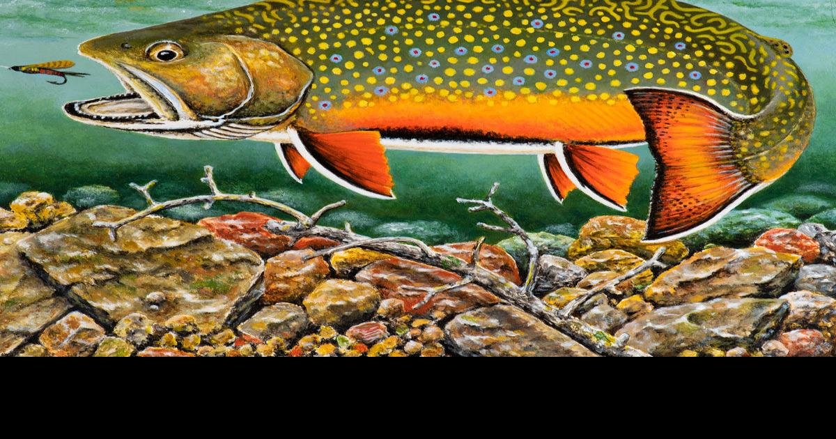 Winners chosen for 2024 trout and salmon stamp, walleye stamp contests ...