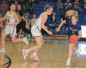 WHA girls sweep season series with Cass Lake-Bena, fall at home to ...