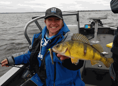 Action Outdoors: Fishing for perch | Outdoors | walkermn.com