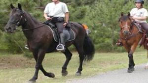 One girl, one horse, one ride, one dream | News | walkermn.com