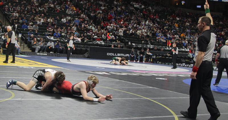 Chase Whitney gains valuable experience on first trip to state ...