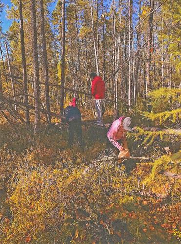 Dec. 14, 2022 Photos | | walkermn.com