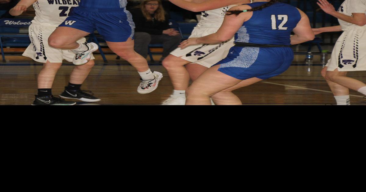 Lady Wolves go 2-1 last week; improve to 8-4 | Sports | walkermn.com