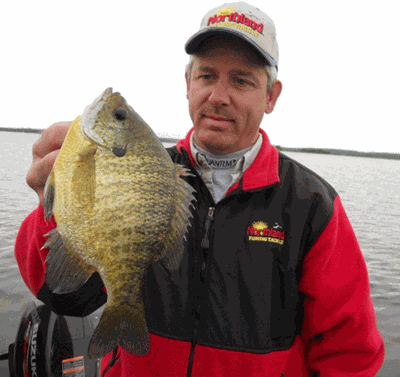 Action Outdoors: The fishing limits debate | Outdoors | walkermn.com