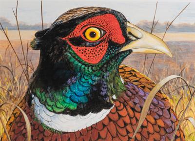 Winners chosen for pheasant and turkey stamp contests | Outdoors ...