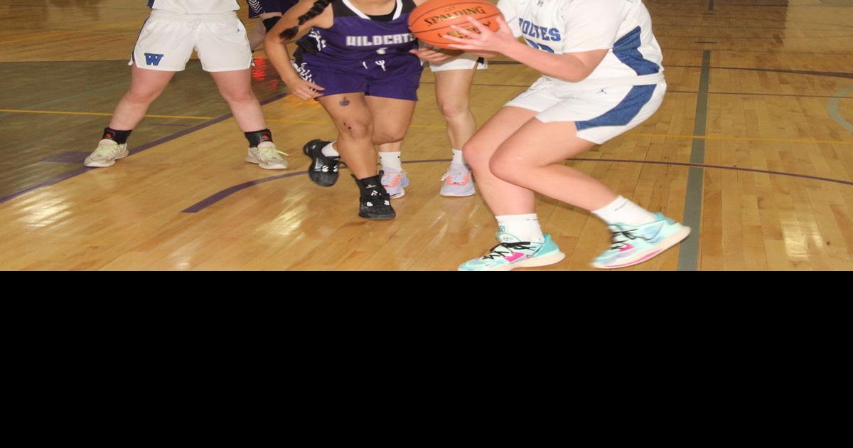 Lady Wolves go 2-1 last week; beat both Cherry, Laporte | Sports ...