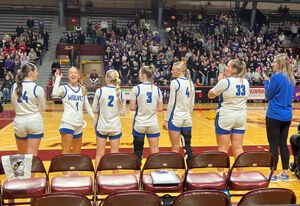 WHA girls fall 76-47 to No. 1 Goodhue in opening state playoff game ...