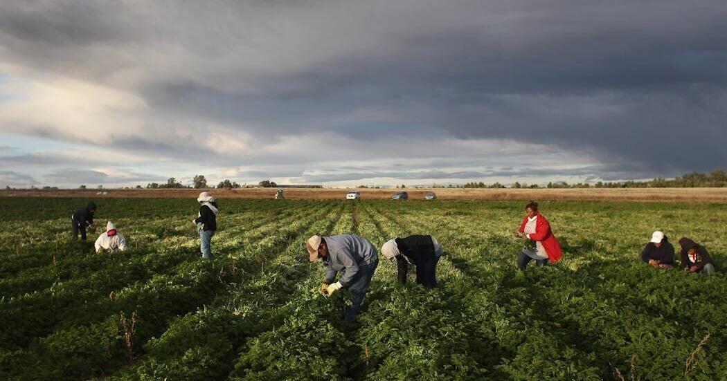 From the San Luis Valley to Vail, Latino labor powers every sector of ...