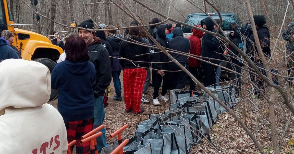 Planting cedar seedlings on Inger Point | Education | walkermn.com