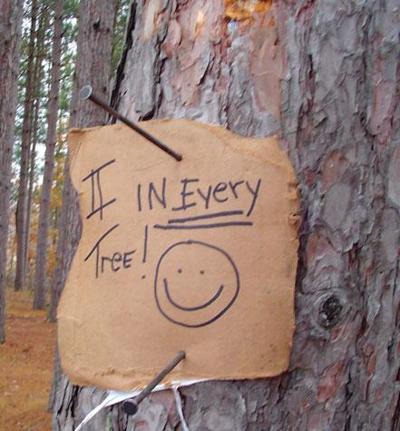 Cass offers reward for information on tree spiking | News | walkermn.com