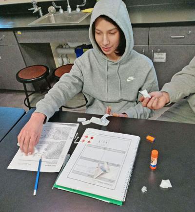 Study of genotypes at Bug O Nay Ge Shig School | Education | walkermn.com