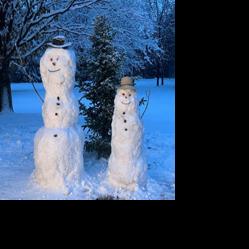 Happy Dancing Turtle to offer winter scavenger hunt | News | walkermn.com