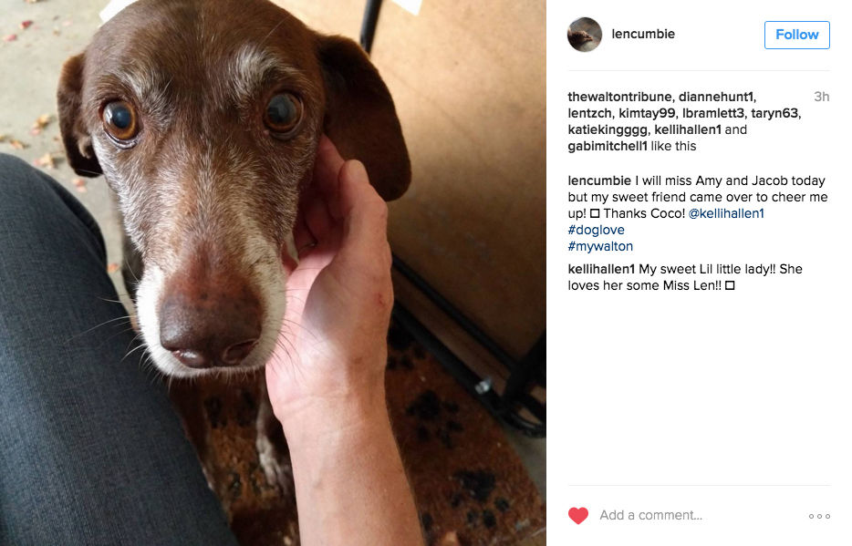 WCSD First Day 2016 | Multimedia | waltontribune.com