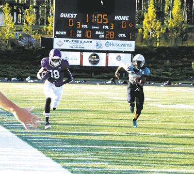 JOHNSON: Tough end to the 2022 Walton football season | Sports ...