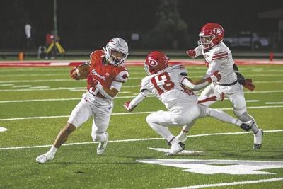 Dalton 7, LHS 3: Red Devils upset in opening round | Sports ...