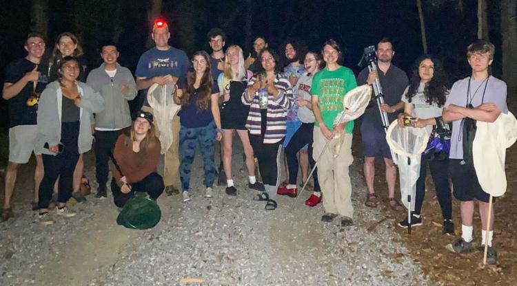 All aglow: Synchronous fireflies light up Walton | | waltontribune.com