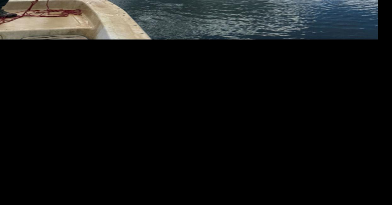 LGA seeks volunteers for the annual vegetation survey | News ...