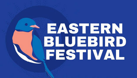 Eastern Bluebird Festival, Farmers Market and more highlight the ...