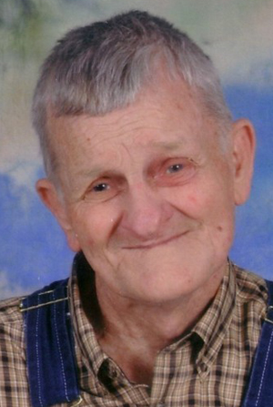 Arthur Halwes | Obituaries | warricknews.com