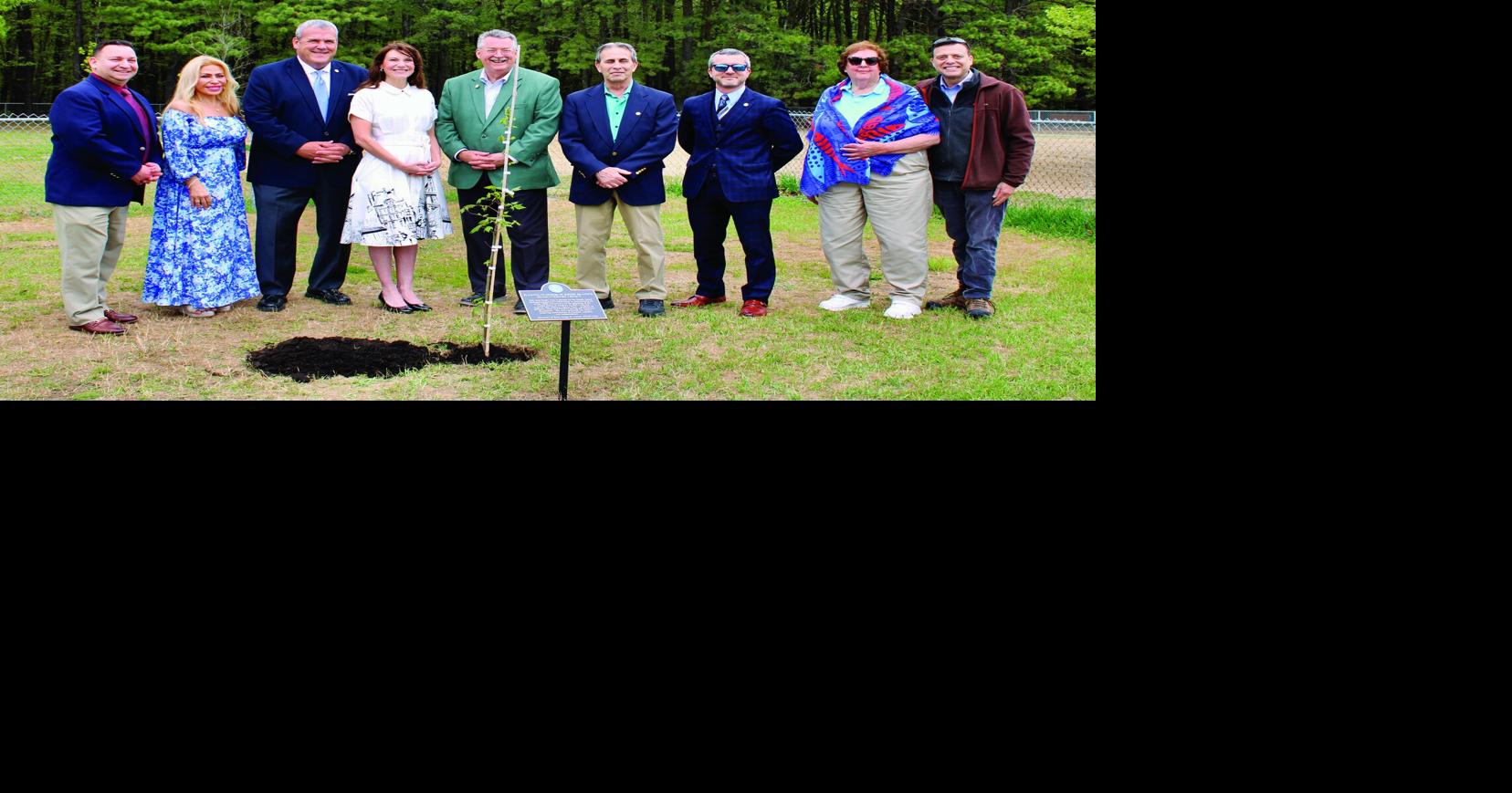 Red maple planted in City Park for nation’s 250th | News ...